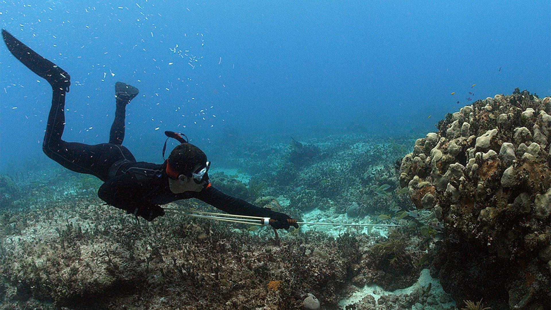 Watch Descending: S1E5 - The Dive God on Philo for Free