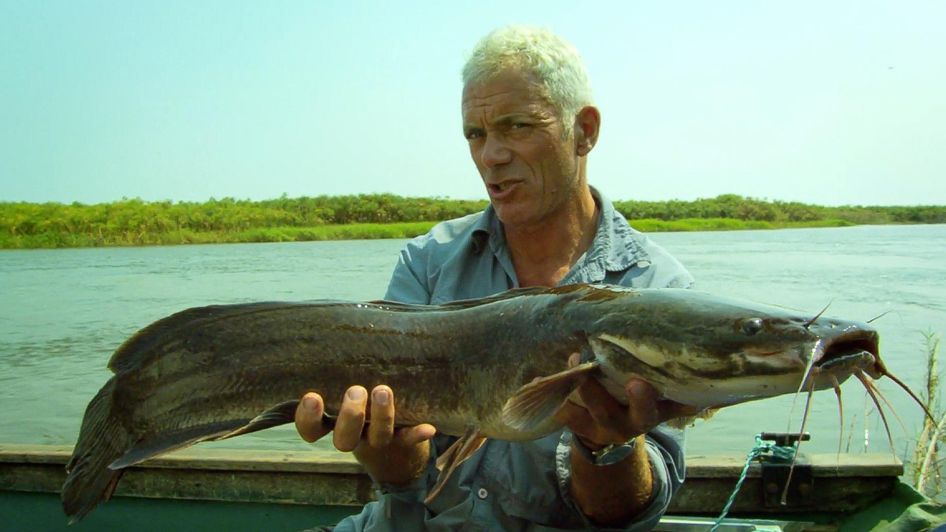 River Monsters: Pack of Teeth