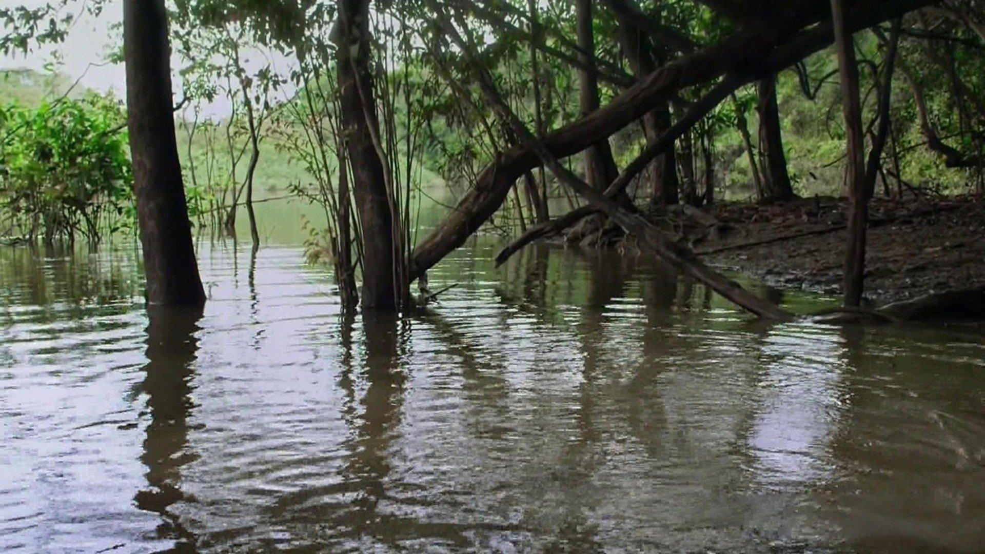 Watch River Monsters: S4E8 - Lair of Giants on Philo (Free Trial)