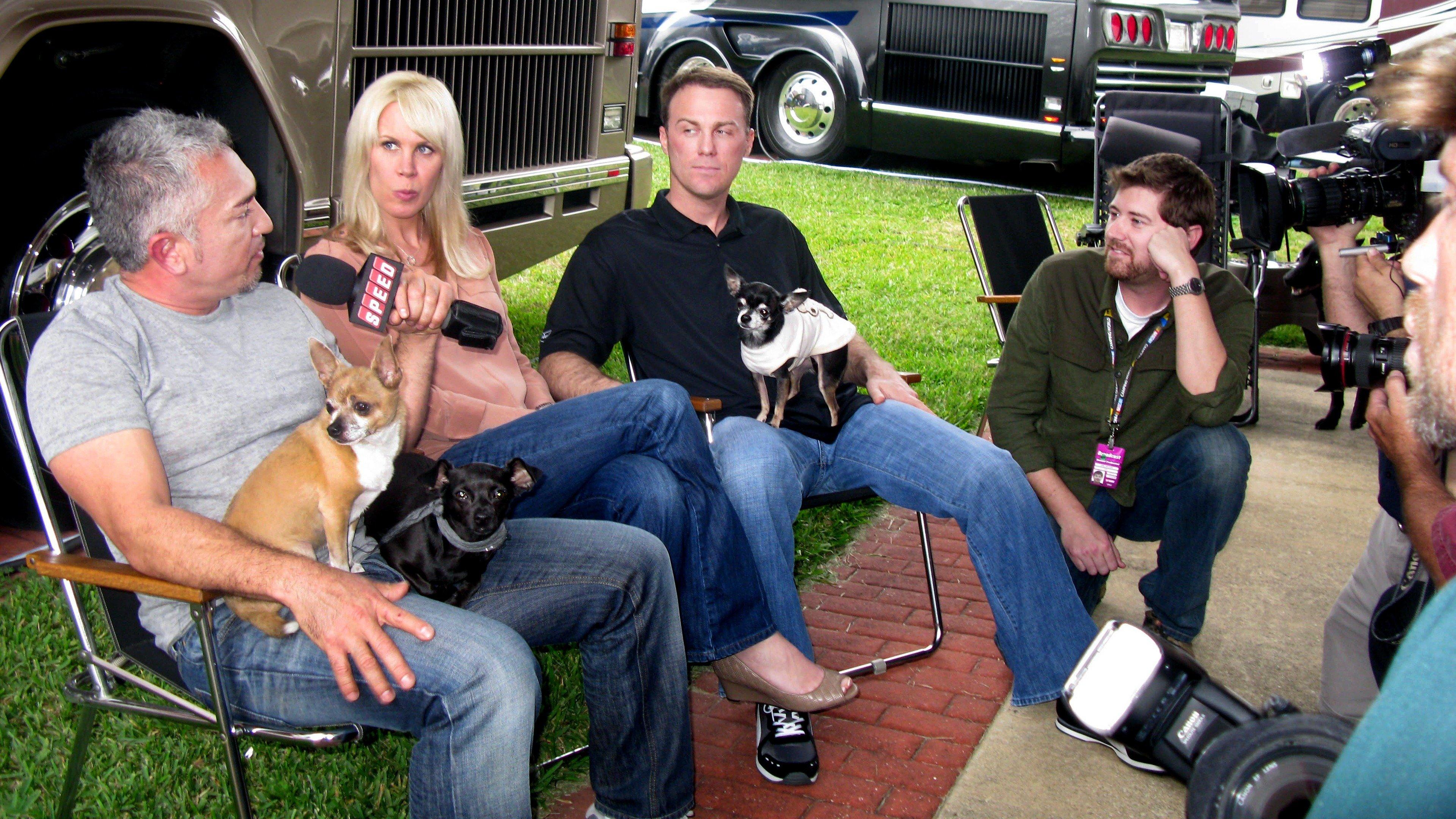 Watch Dog Whisperer: S9E10 - Daytona Dogs on Philo for Free