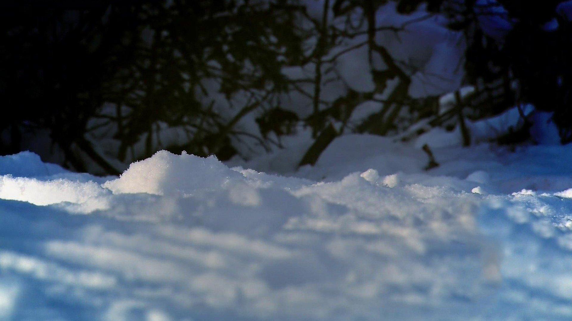 Ice Cold Killers: Frozen Carnage