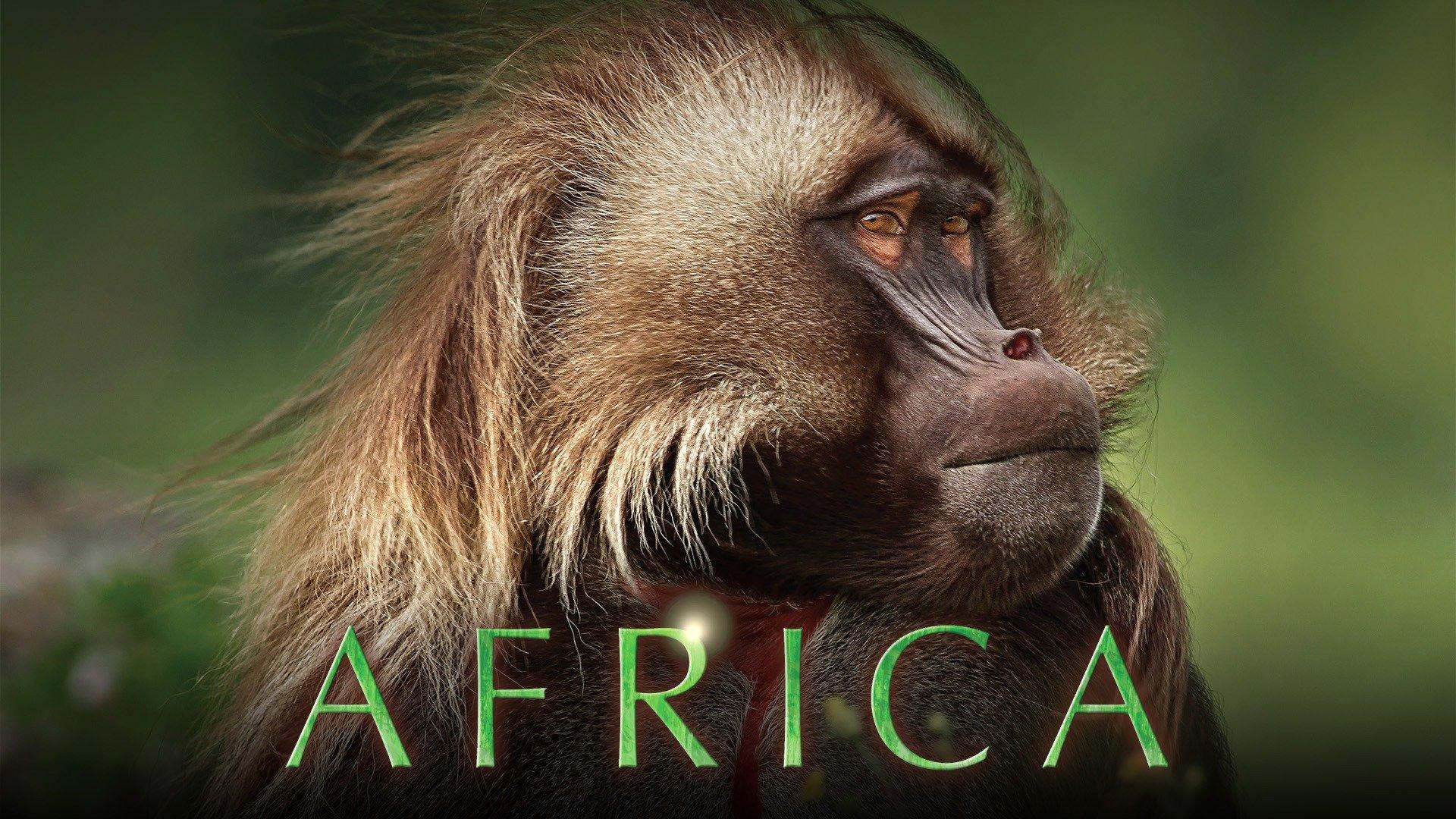 Watch Planet Earth: Africa Streaming Online on Philo (Free Trial)