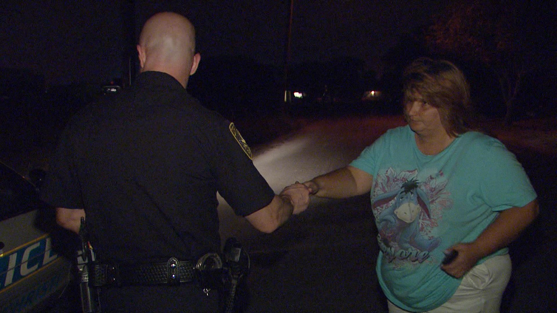 Cops Reloaded: DVD Thievery