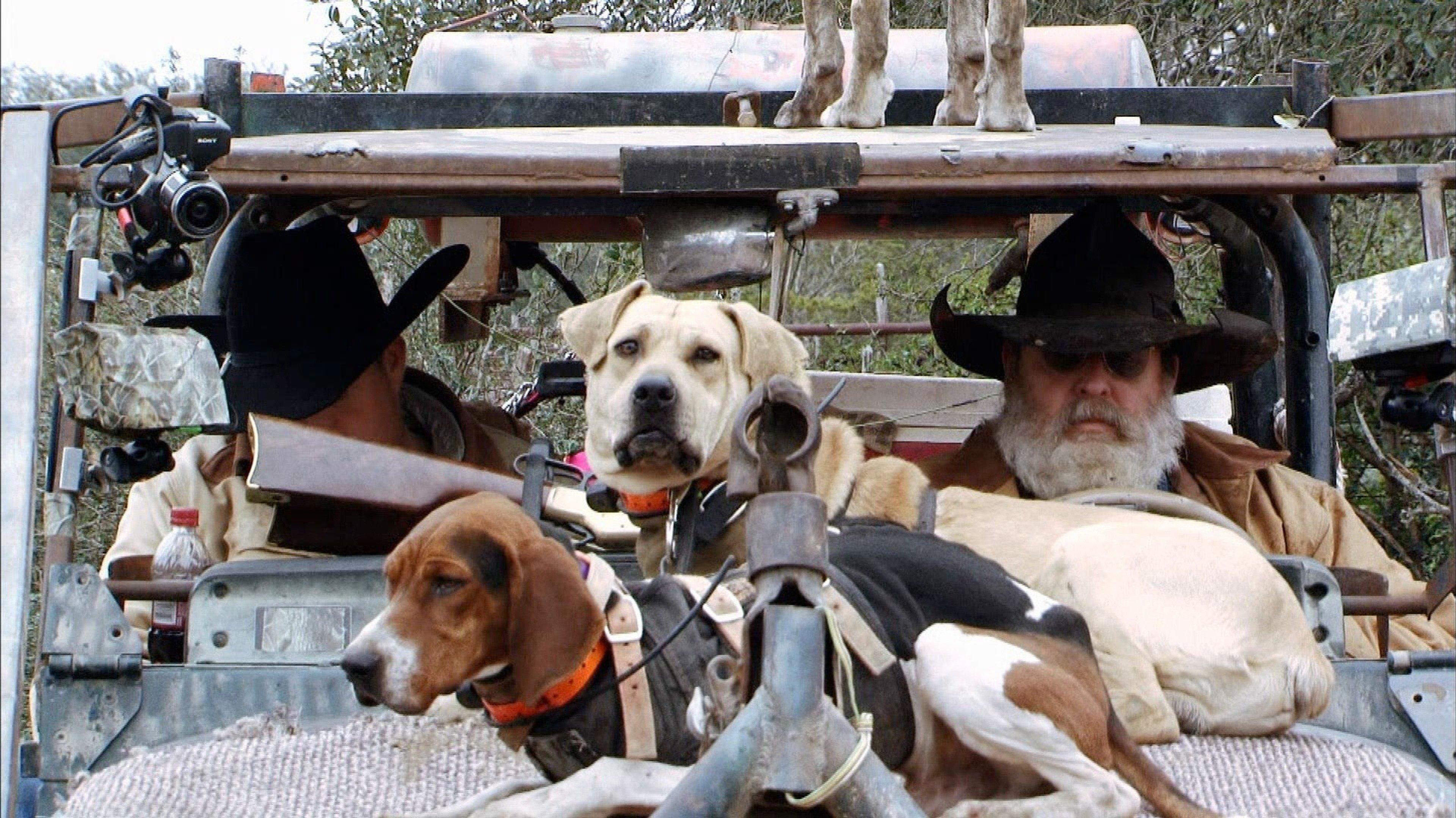 American Hoggers: Breaking Point