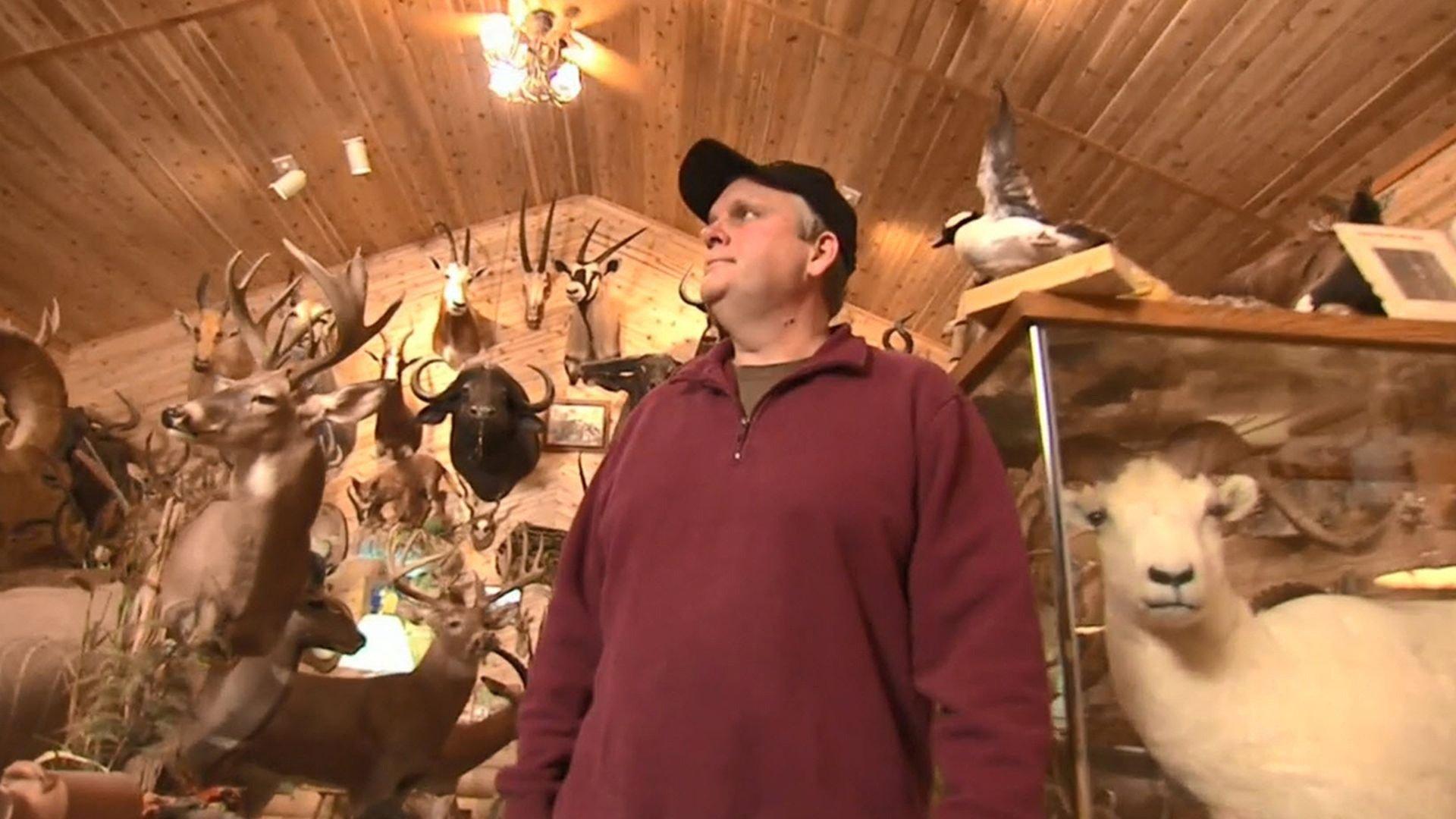 My Crazy Obsession: Troll Takeover & Stuffing Animals