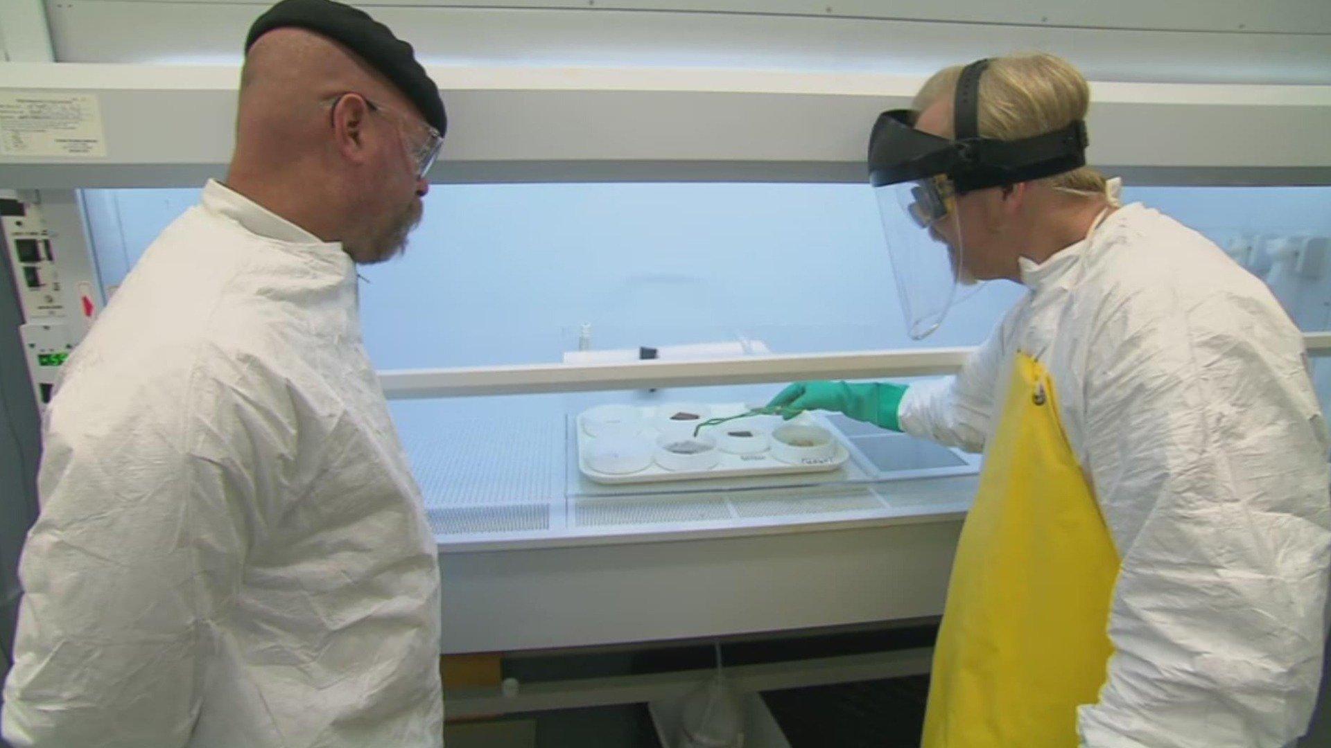 MythBusters Streaming: Watch Full Episodes Online | Philo