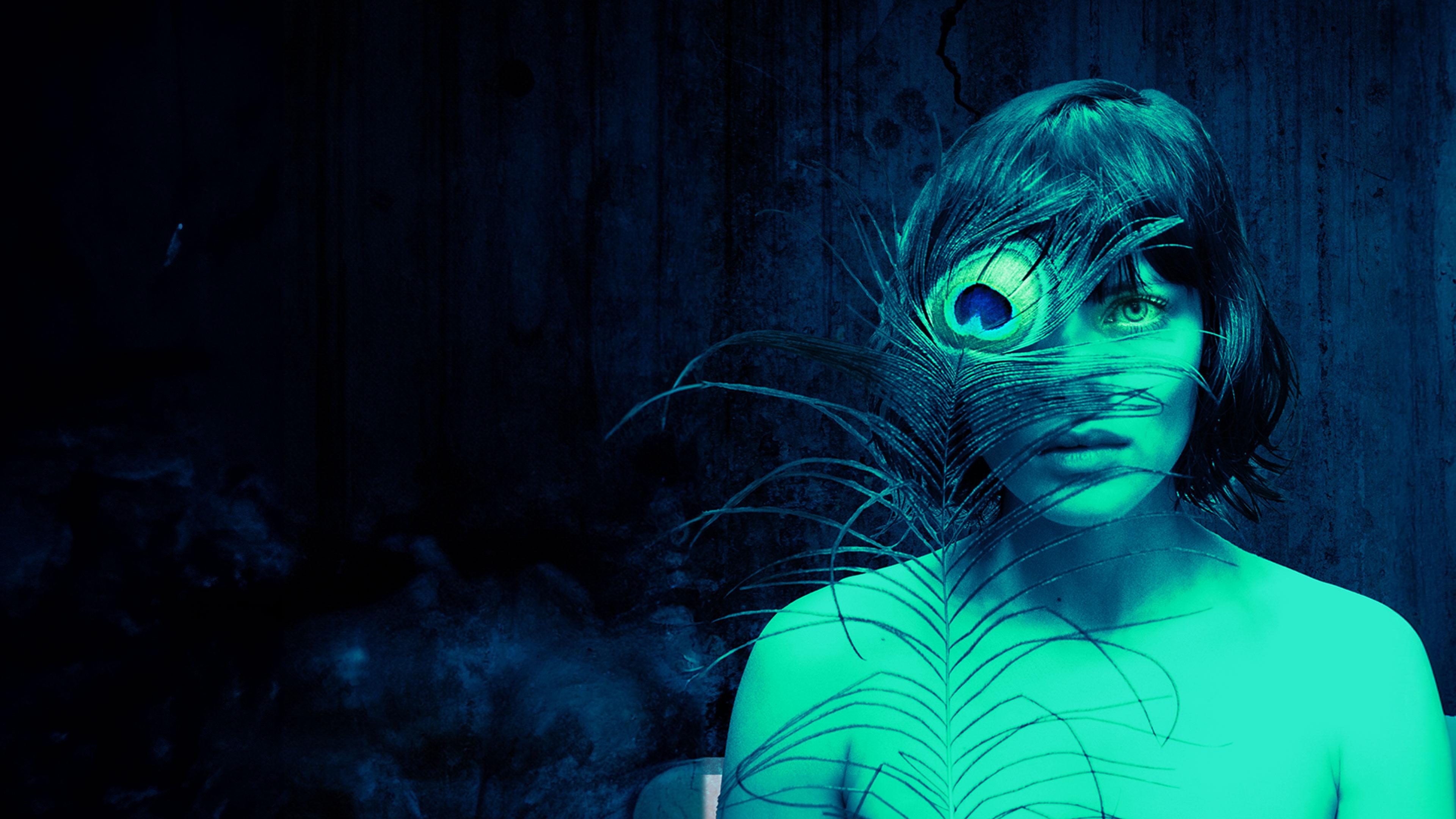 Watch Peacock Streaming Online on Philo (Free Trial)